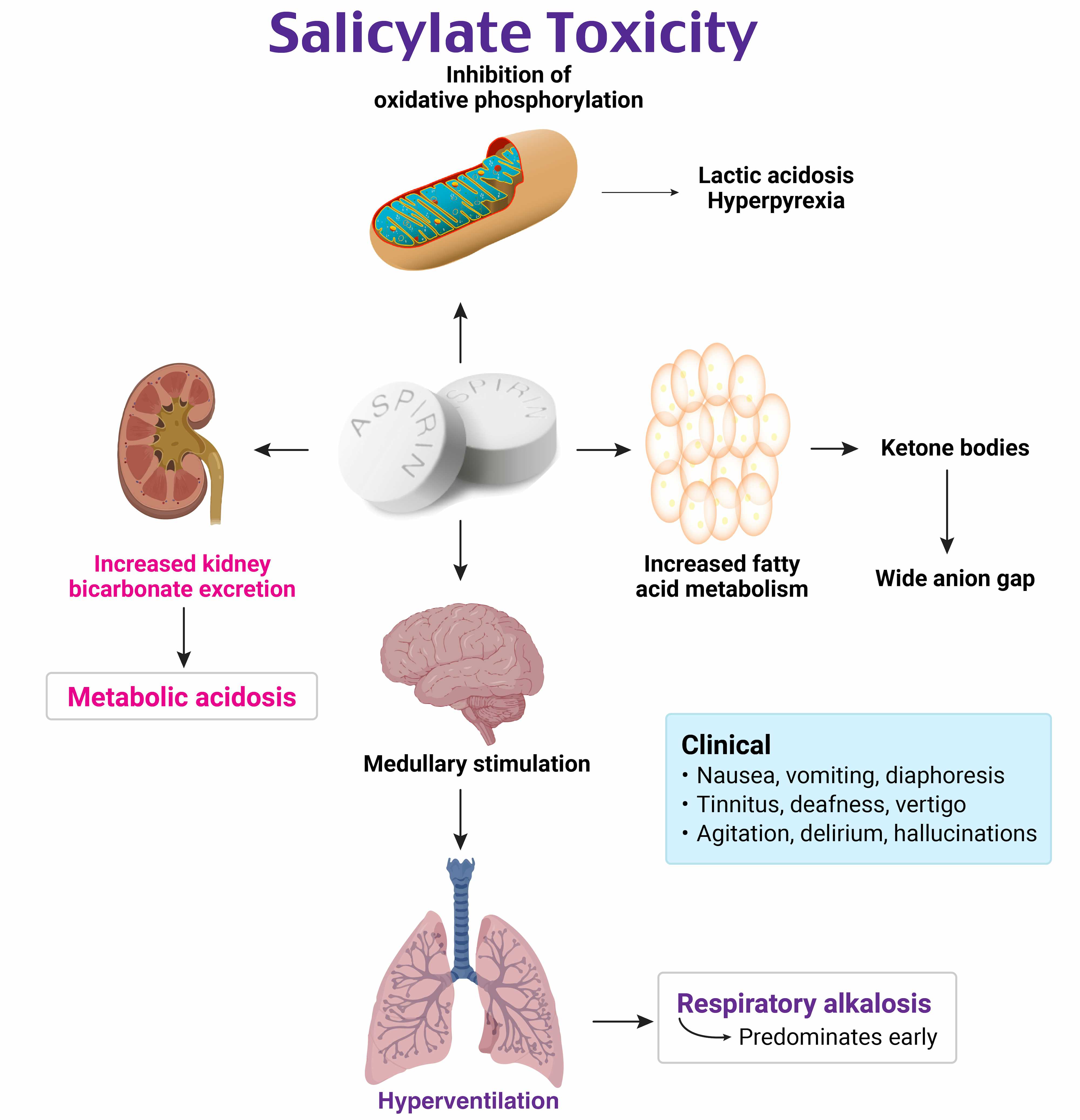 MyEmCert - Question 31 - Rosh Review